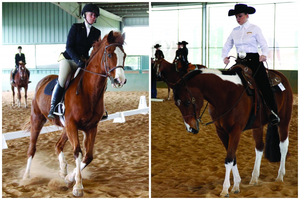 Equestrian begins its Big 12 conference schedule Friday - The Baylor Lariat