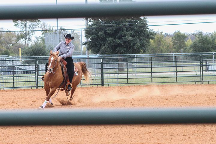 No. 1 equestrian stays unbeaten | The Baylor Lariat