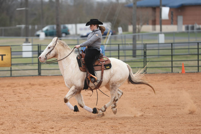 A closer look into Baylor Equestrian - The Baylor Lariat