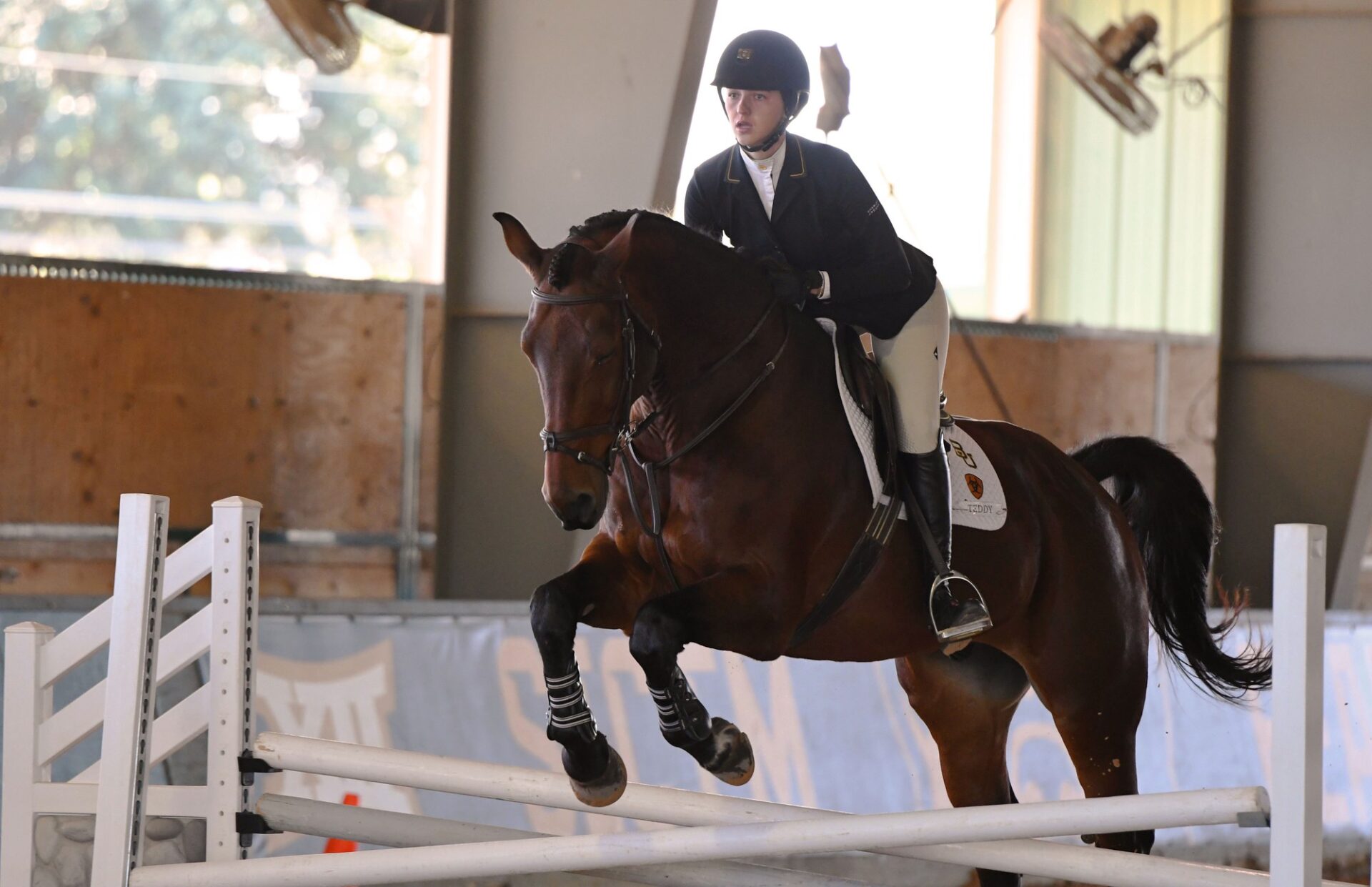 Her time to shine: Dominika Silvestri looks to lead Baylor equestrian ...
